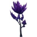 Sapling Ancient Tree - Palia Gatherable - Palia Database