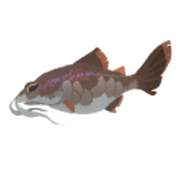 Paddlefish - Palia Fish - Palia Database