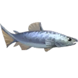 Platinum Chad - Palia Fish - Palia Database
