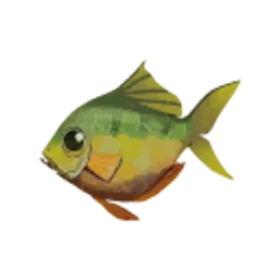 Yellow Perch - Palia Fish - Palia Database