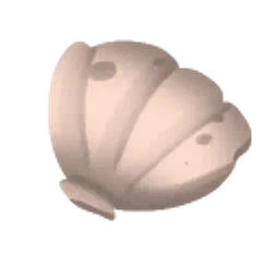 Shell - Palia Gatherable - Palia Database