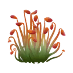 Spice Sprouts - Palia Gatherable - Palia Database