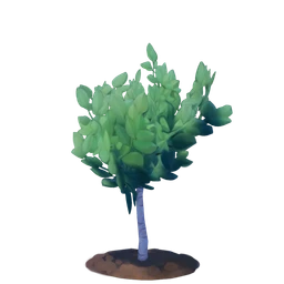 Sapling Birch Tree - Palia Gatherable - Palia Database