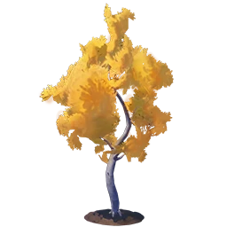 Adult Juniper Tree - Palia Gatherable - Palia Database