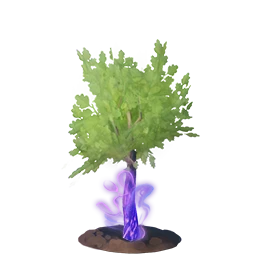 Sapling Flow Oak Tree - Palia Gatherable - Palia Database