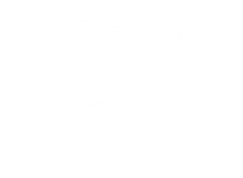 Foraging - Palia Skill - Palia Database